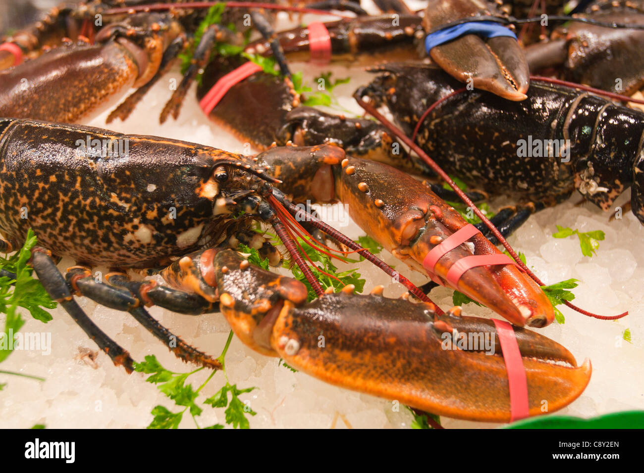 Mercat de santa catalina mallorca hi-res stock photography and images - Alamy