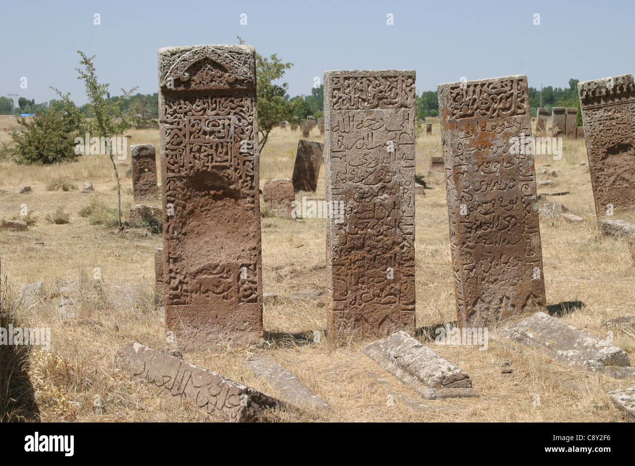 12th century Seljuk graveyard and archaeological site at Ahlat, Bitlis ...