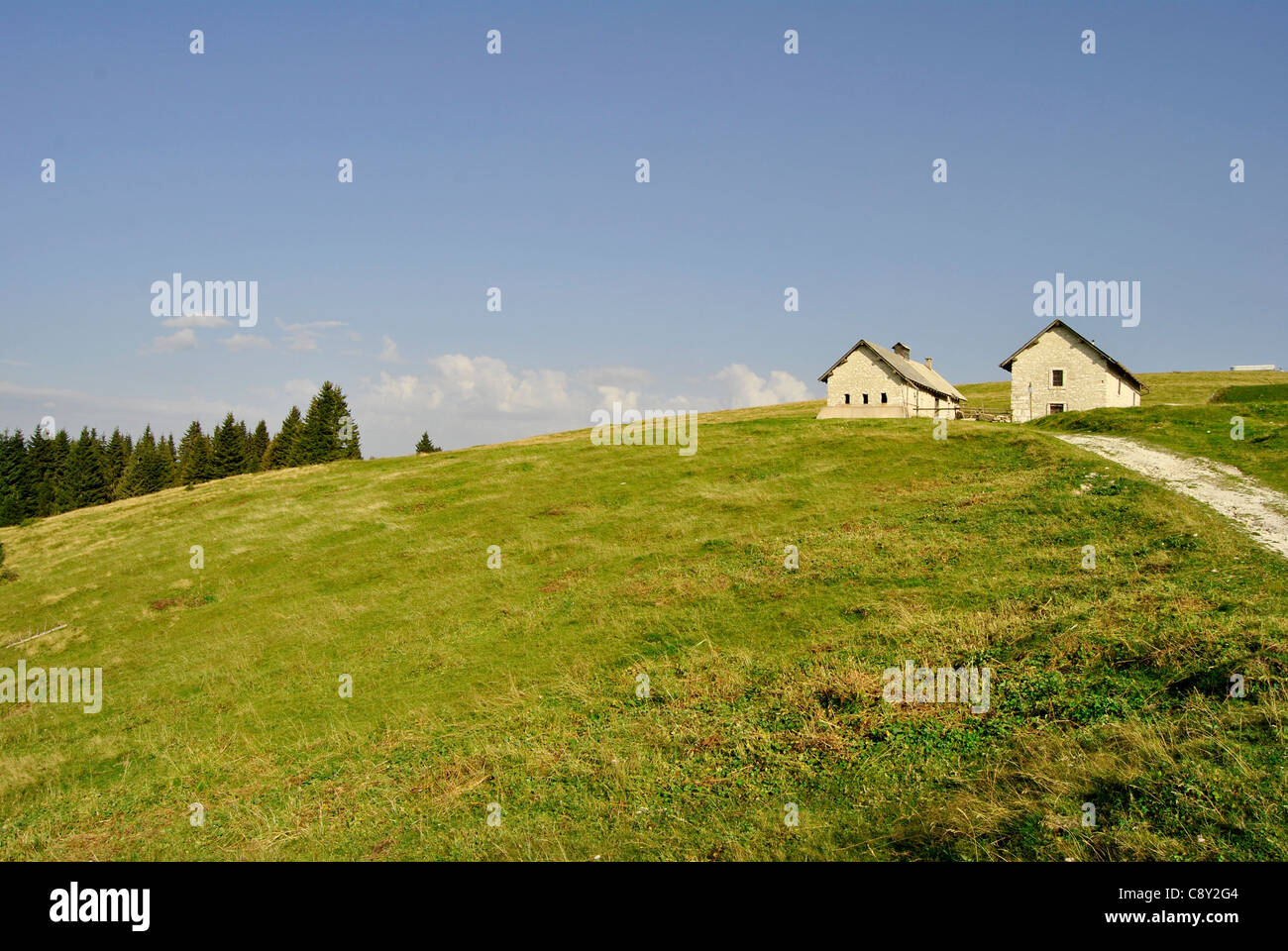 Typical Northern Italian Alps houses called Baita, made of wood and ...