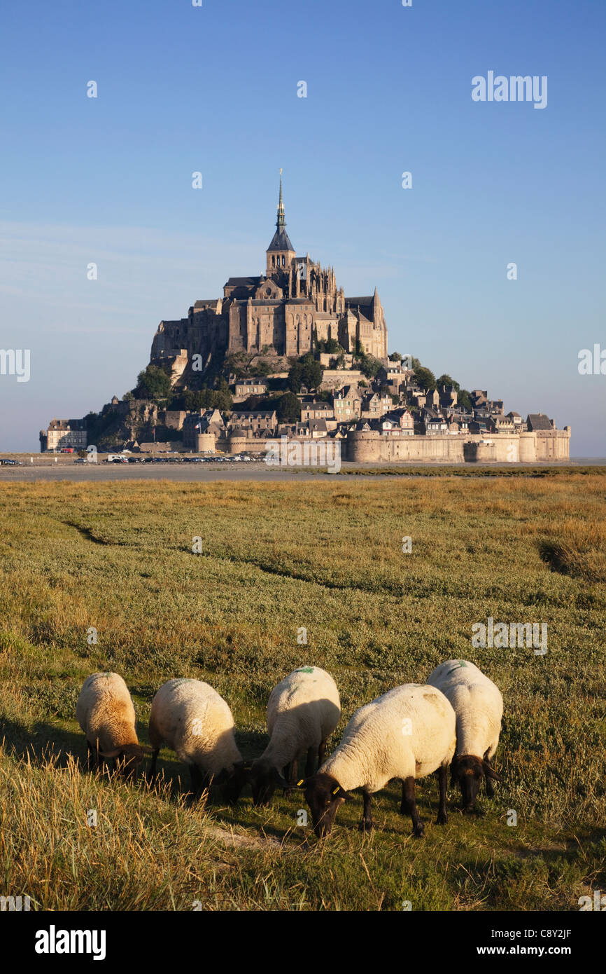 France, Normandy, Mont St.Michel Stock Photo - Alamy