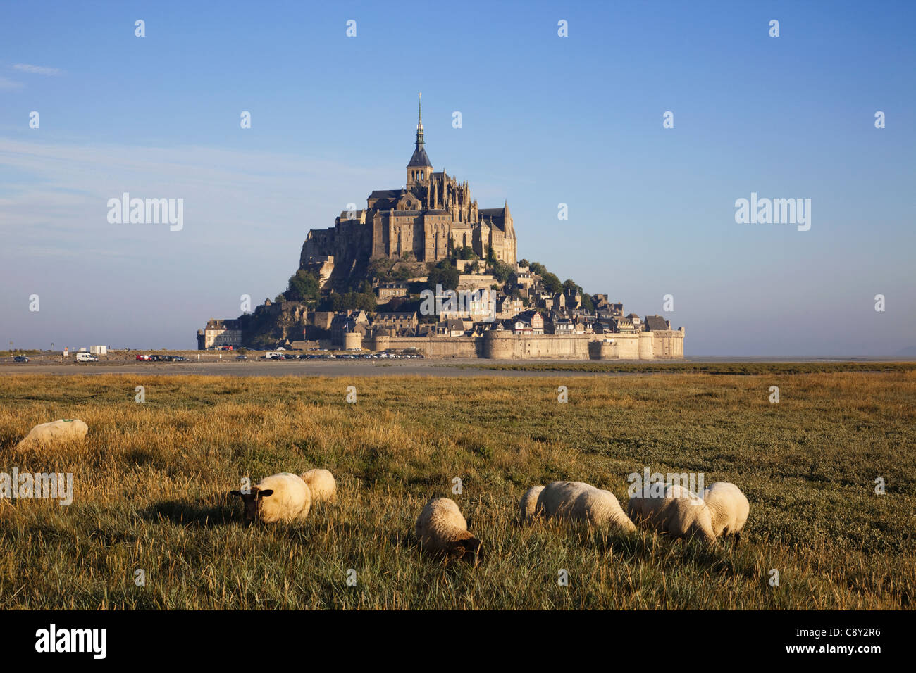 France, Normandy, Mont St.Michel Stock Photo - Alamy