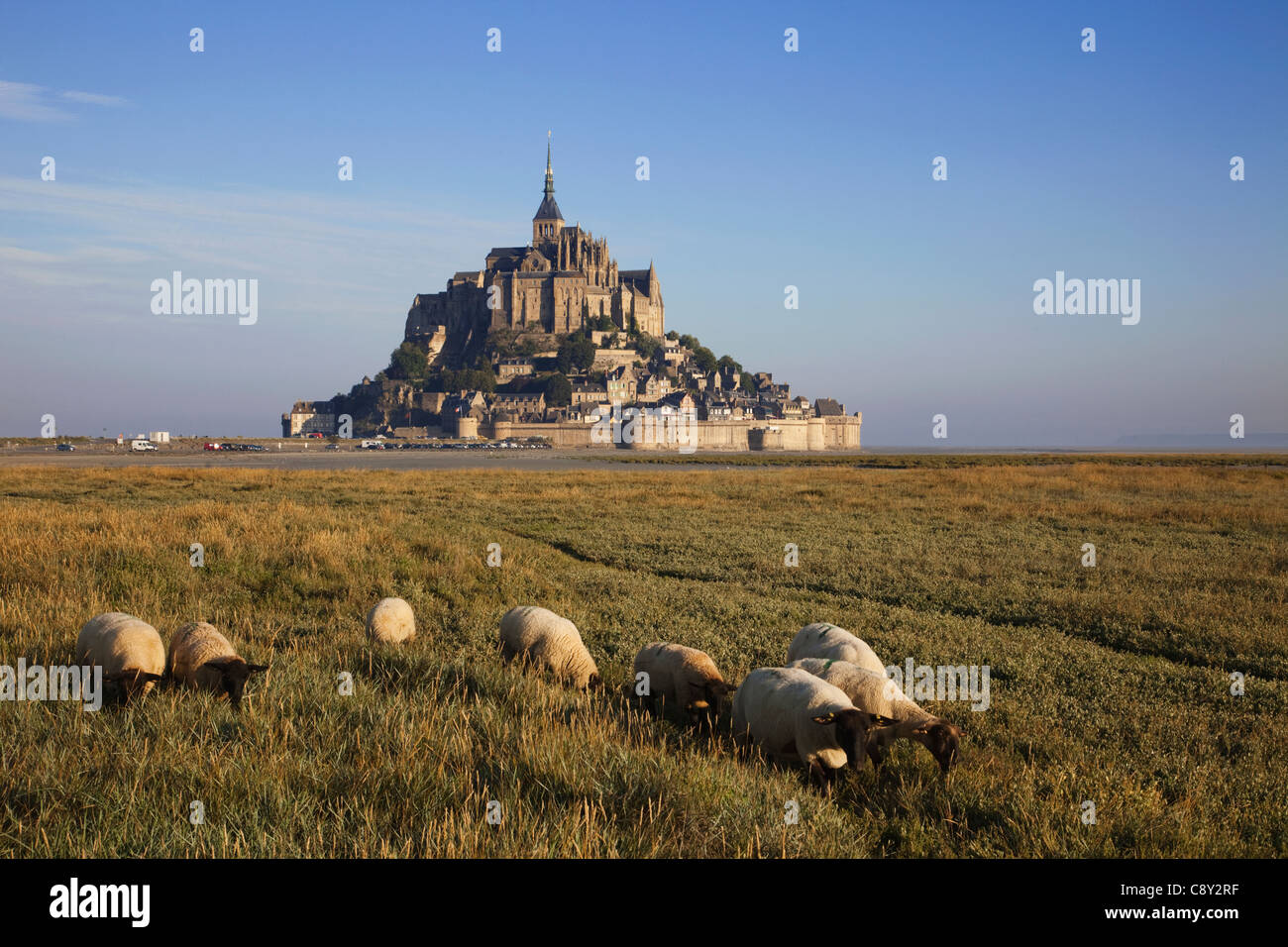 France, Normandy, Mont St.Michel Stock Photo - Alamy