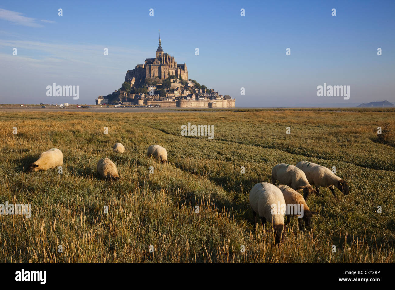 France, Normandy, Mont St.Michel Stock Photo - Alamy