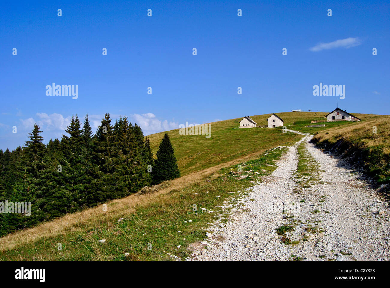 Typical Northern Italian Alps houses called Baita, made of wood and ...
