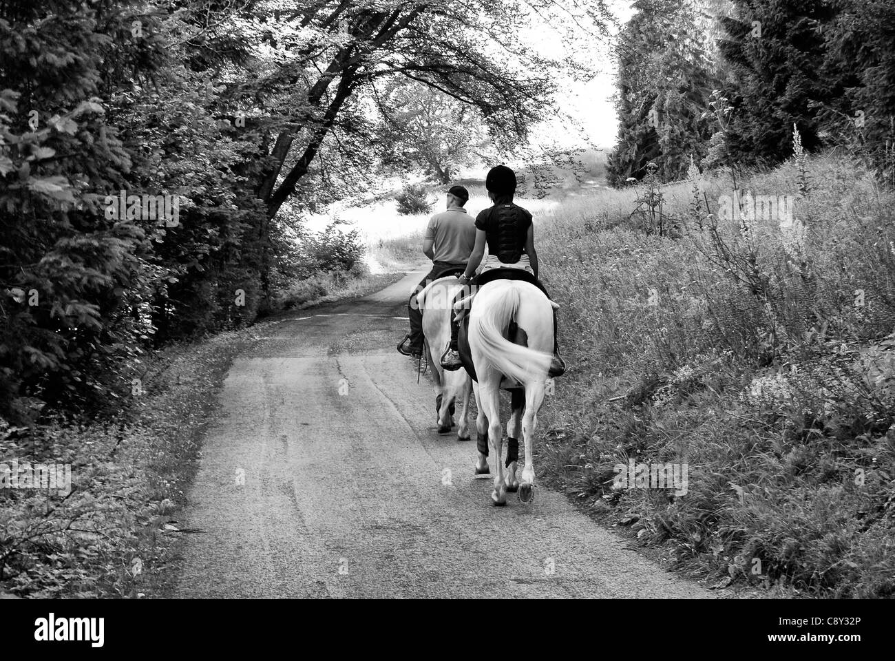 Horse promenade Stock Photo - Alamy