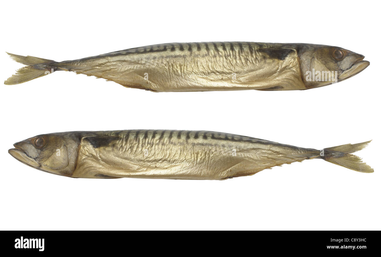 two mackerel smoked isolated on white Stock Photo - Alamy