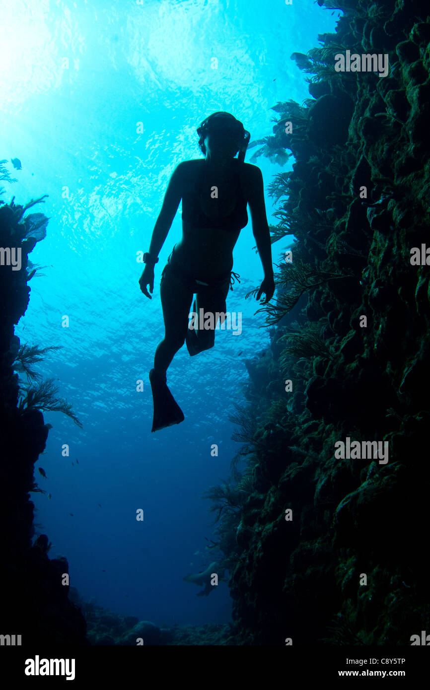 Free diver bikini hi-res stock photography and images - Alamy