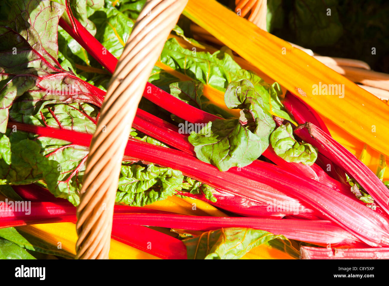 Yellow red chard hi-res stock photography and images - Alamy