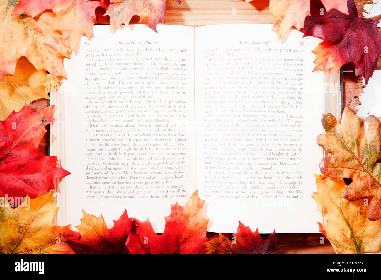 Fallen Leaves And An Open Book Stock Photo - Alamy