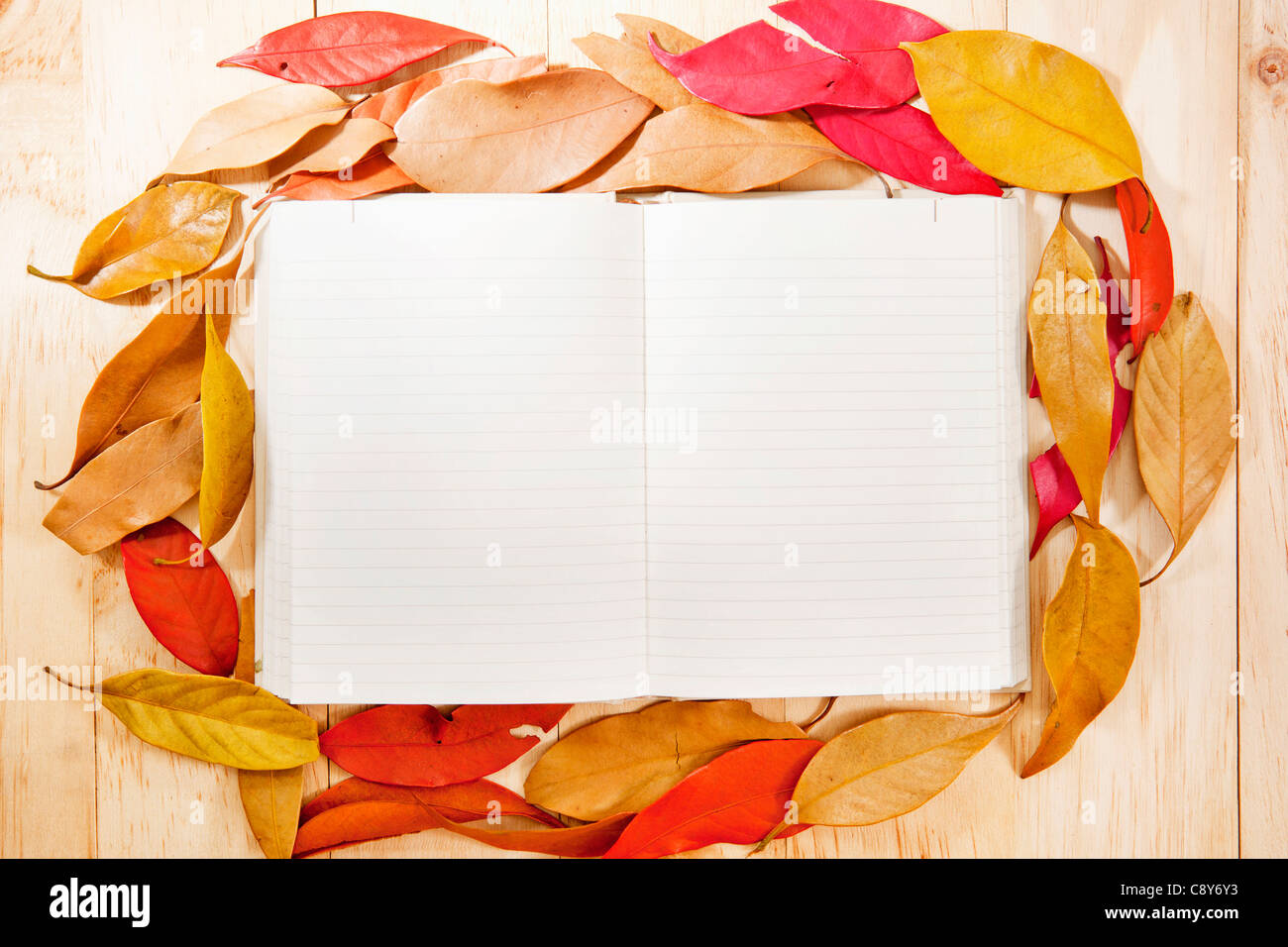 Fallen Leaves And An Open Note Book Stock Photo - Alamy