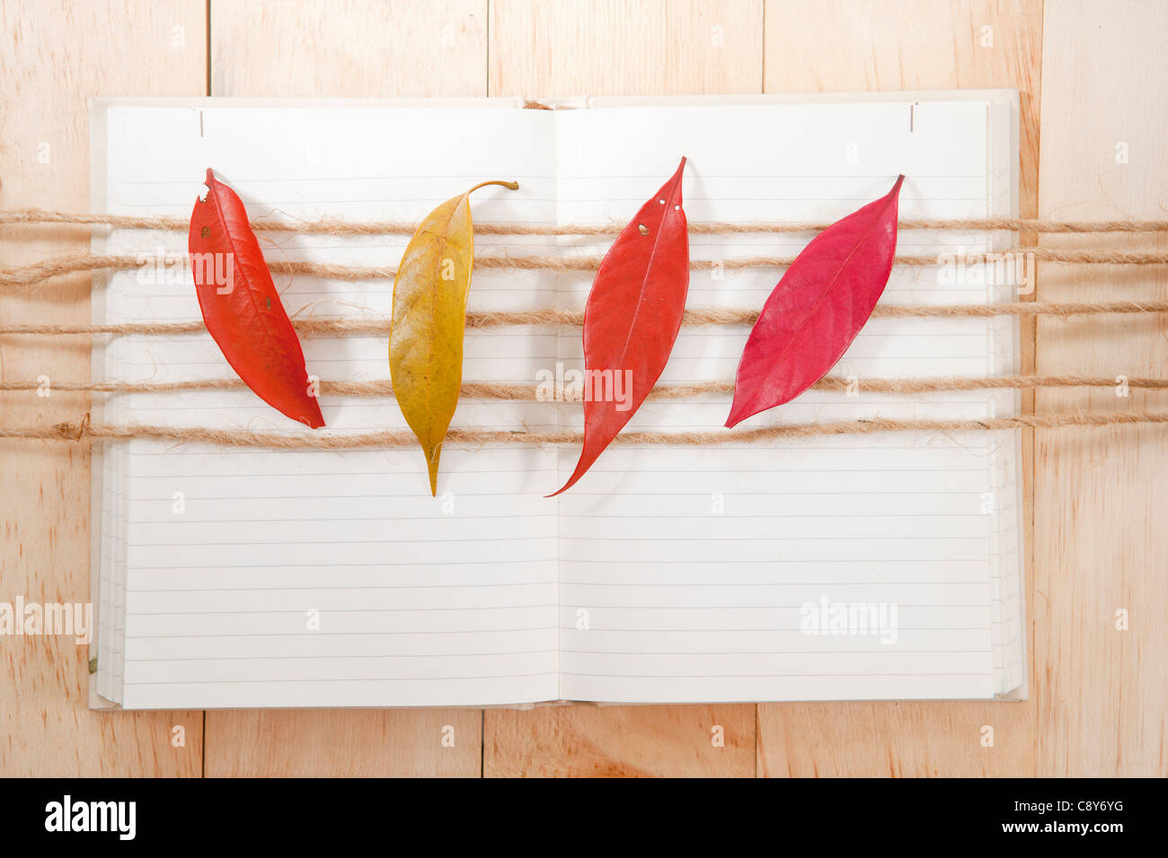 Fallen Leaves On Strings On Top Of An Open Note Book Stock Photo - Alamy