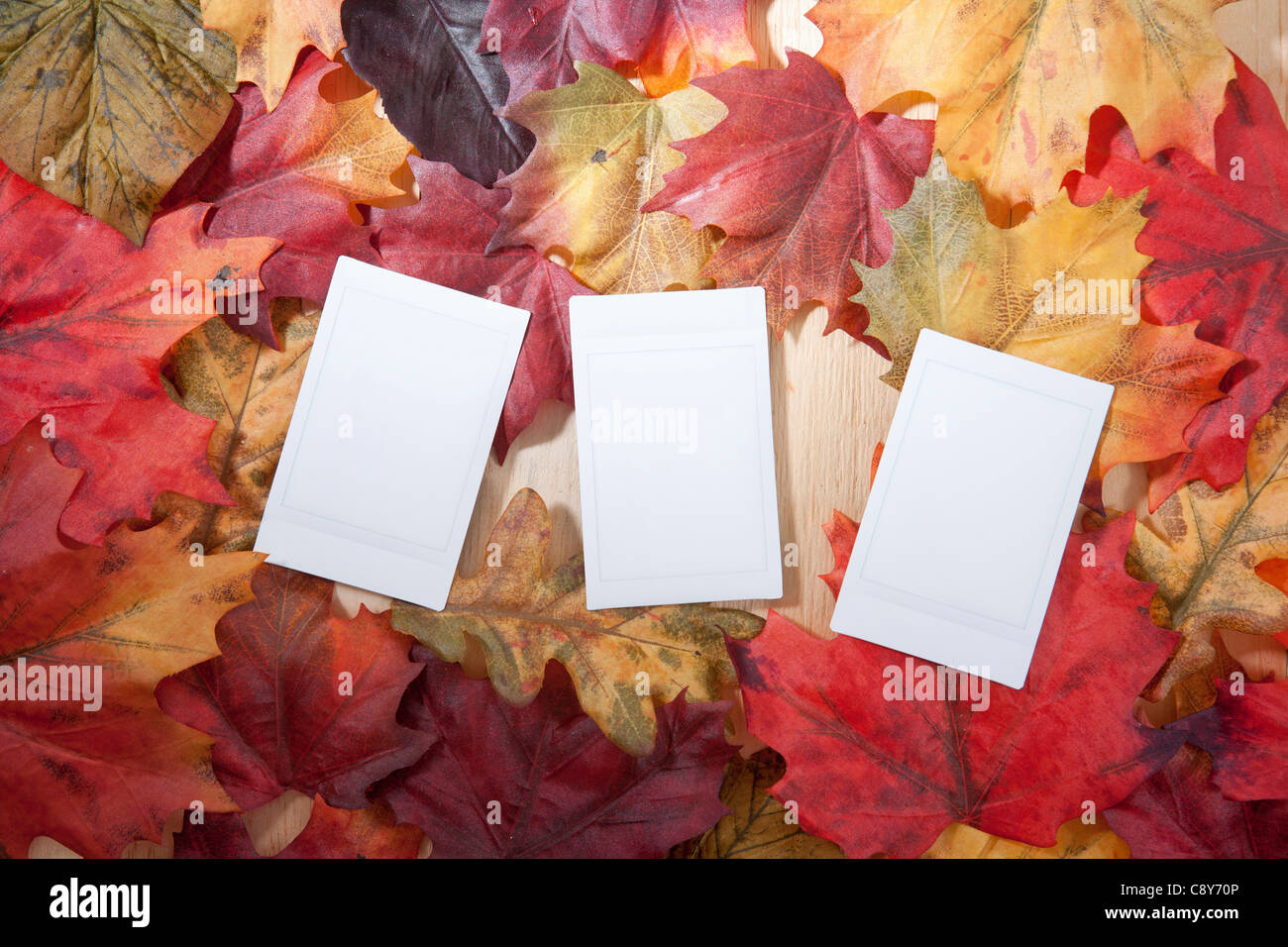 Fallen Leaves And White Papers Stock Photo - Alamy