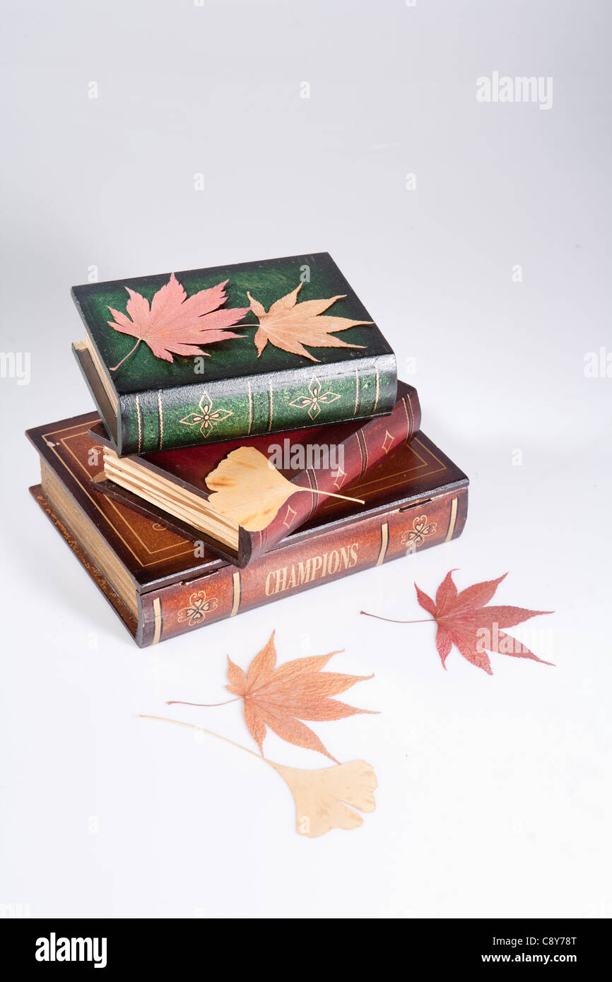 Stack Of Books With Fallen Leaves Stock Photo - Alamy