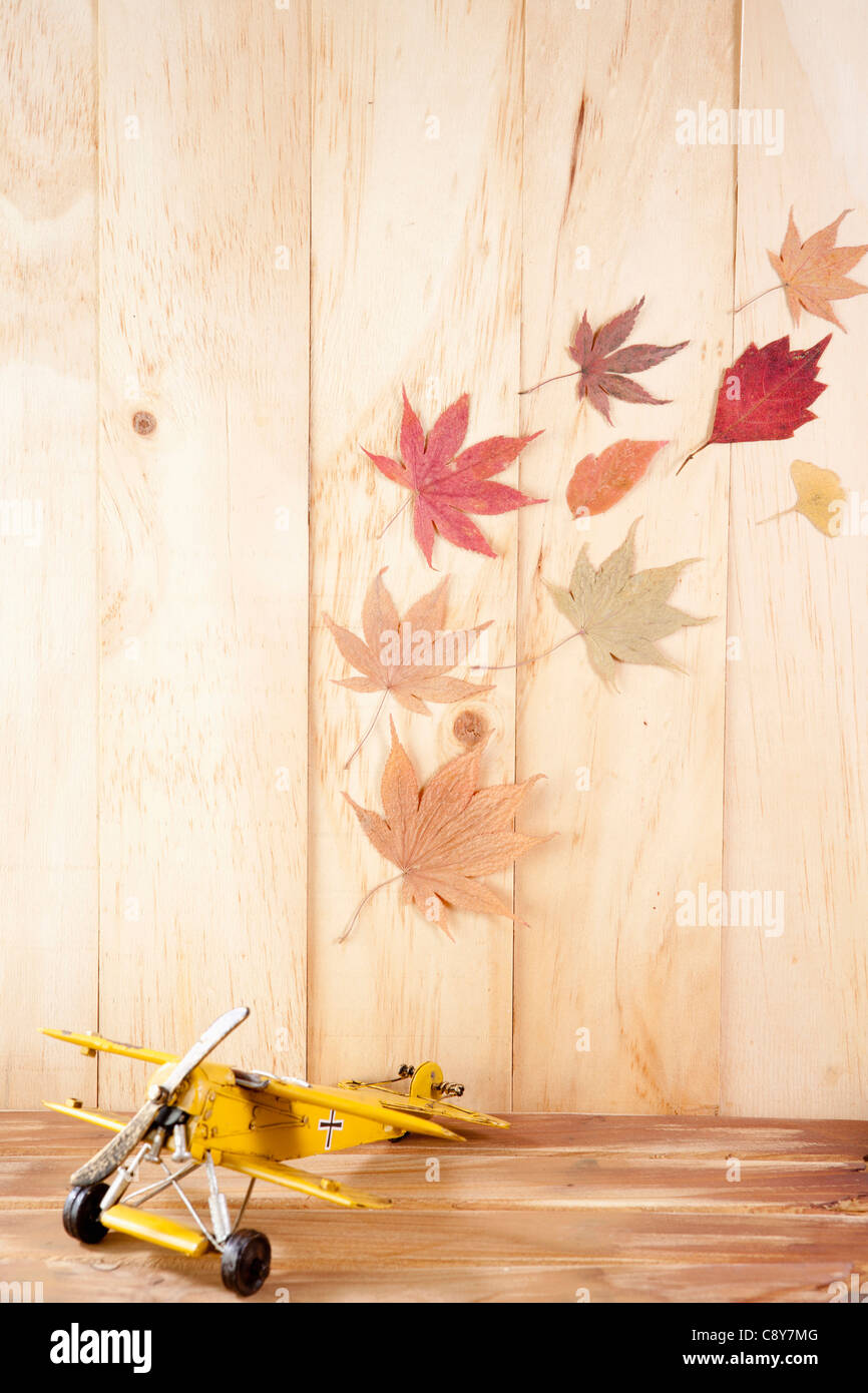 Autumn With Fallen Leaves And Model Airplane Stock Photo - Alamy