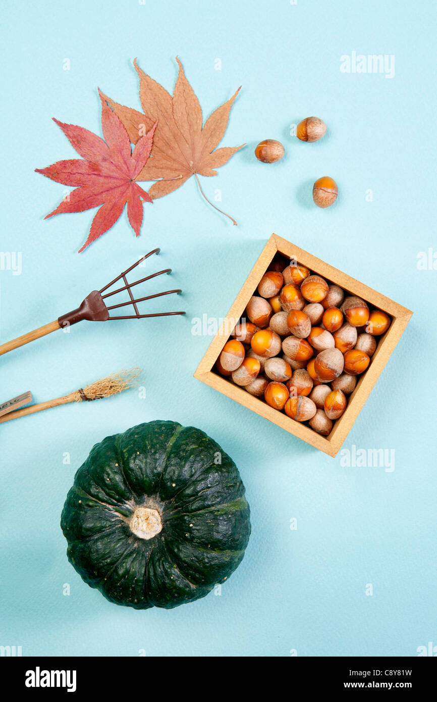 Autumn With Harvested Crops Stock Photo - Alamy