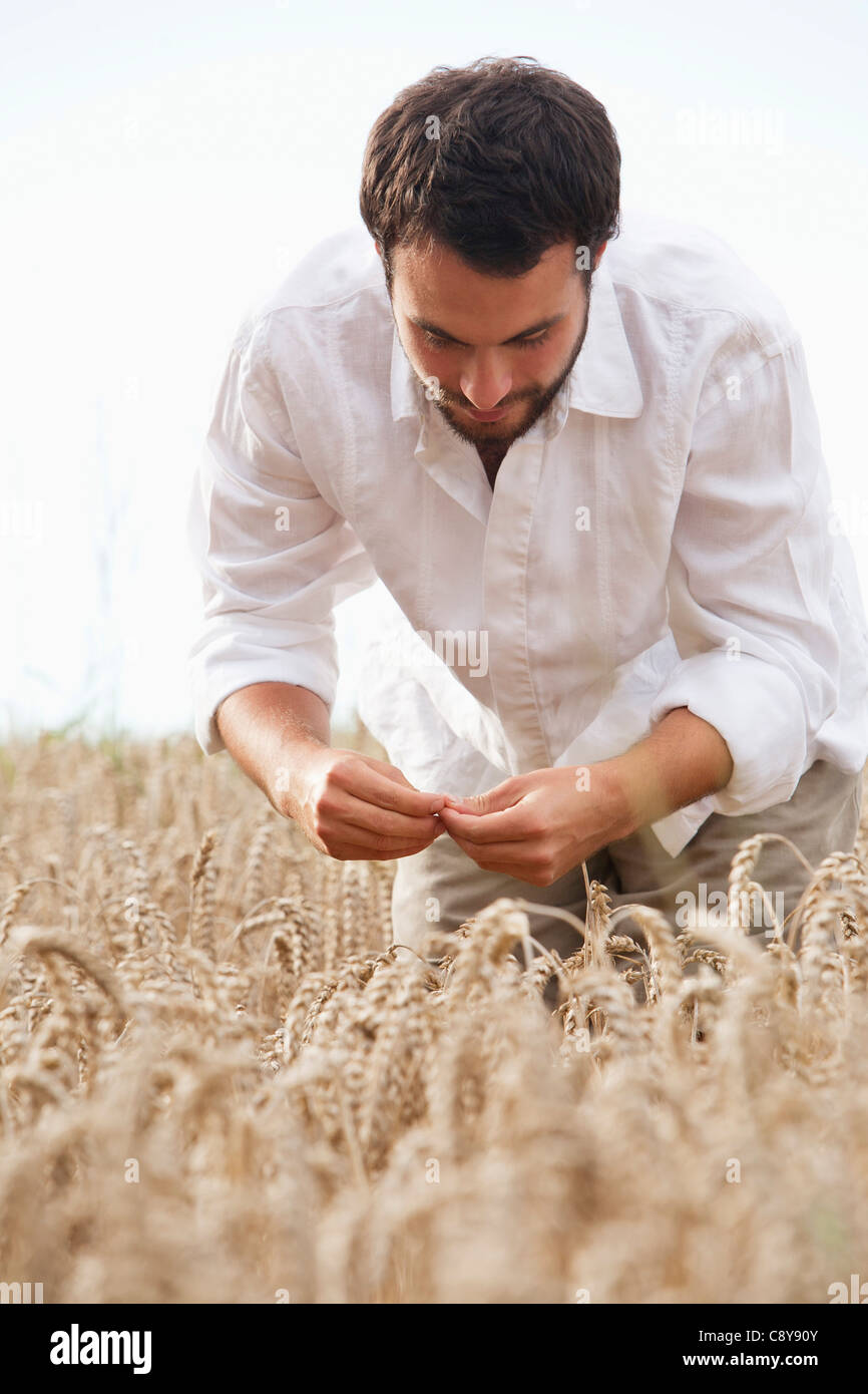 farmer in field checking crop Stock Photo - Alamy