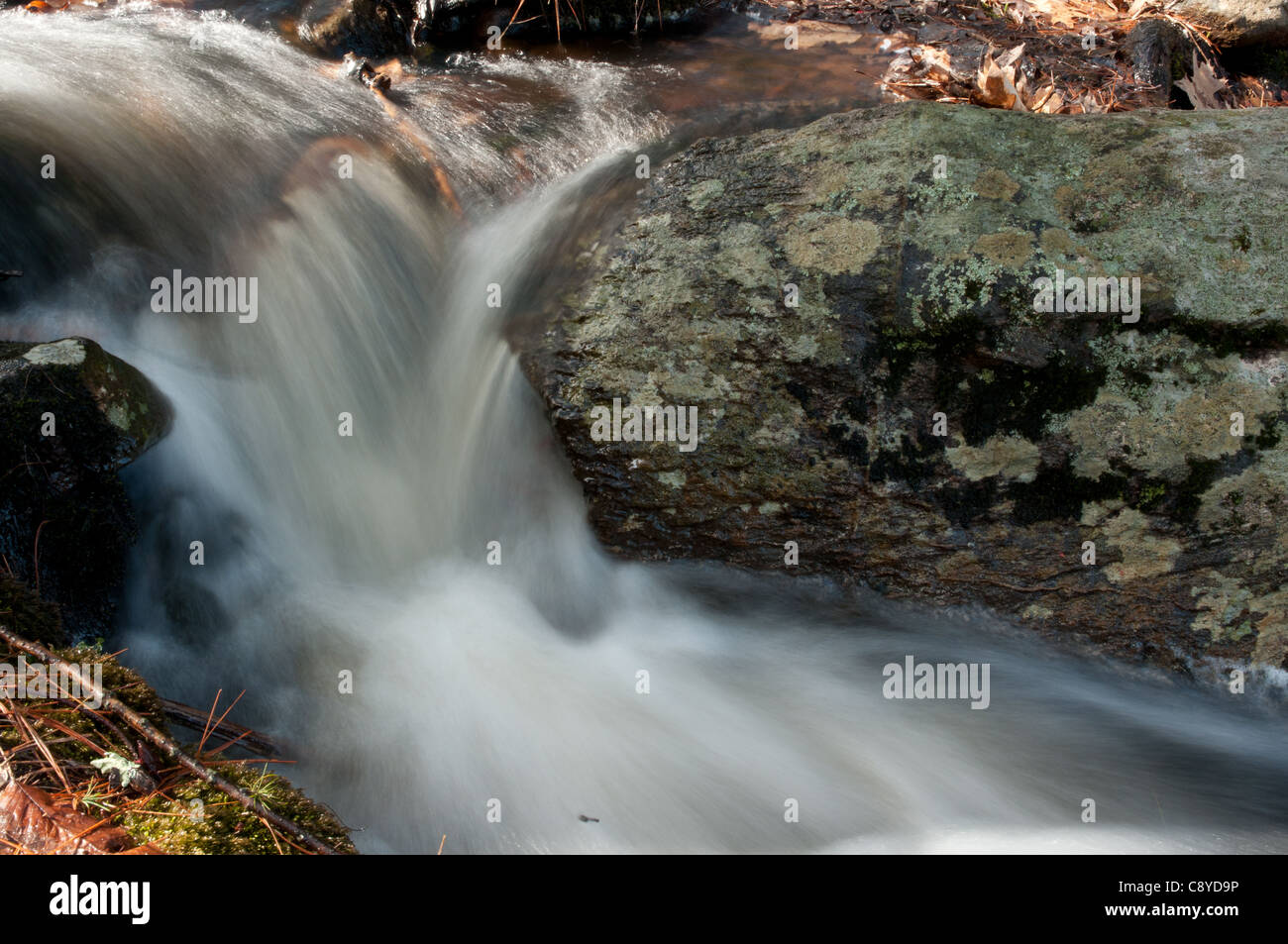 Small brook hi-res stock photography and images - Alamy