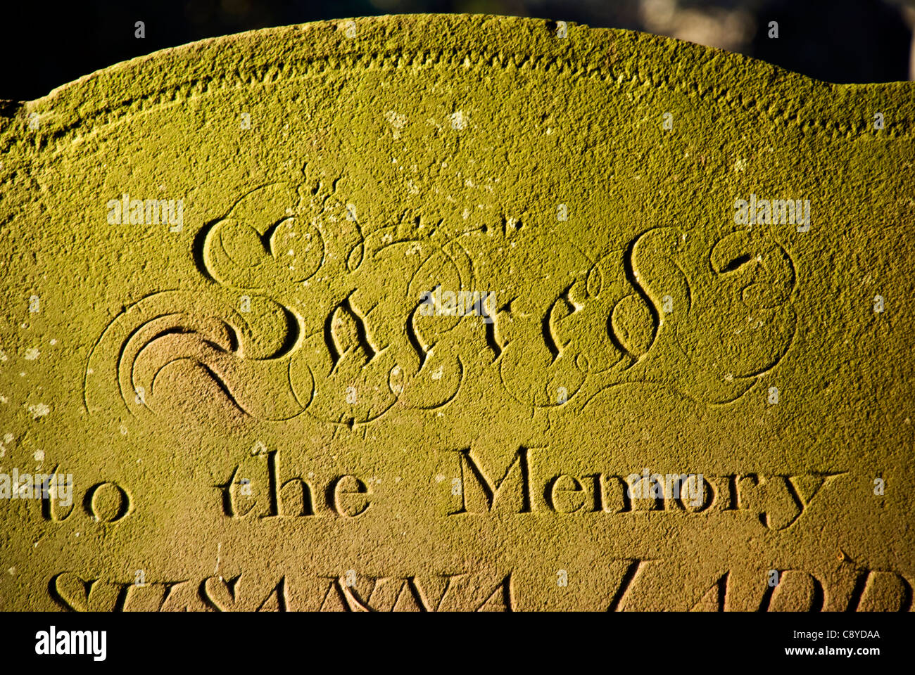 Tombstone gravestone reads Sacred to the memory in stylish calligraphy ...
