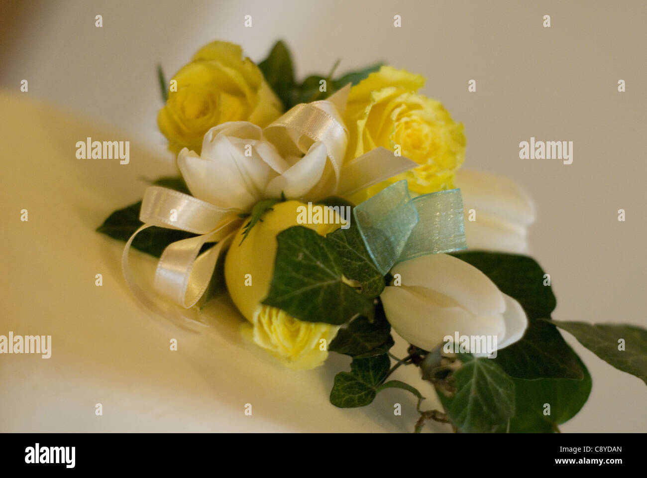 Icingart hi-res stock photography and images - Alamy