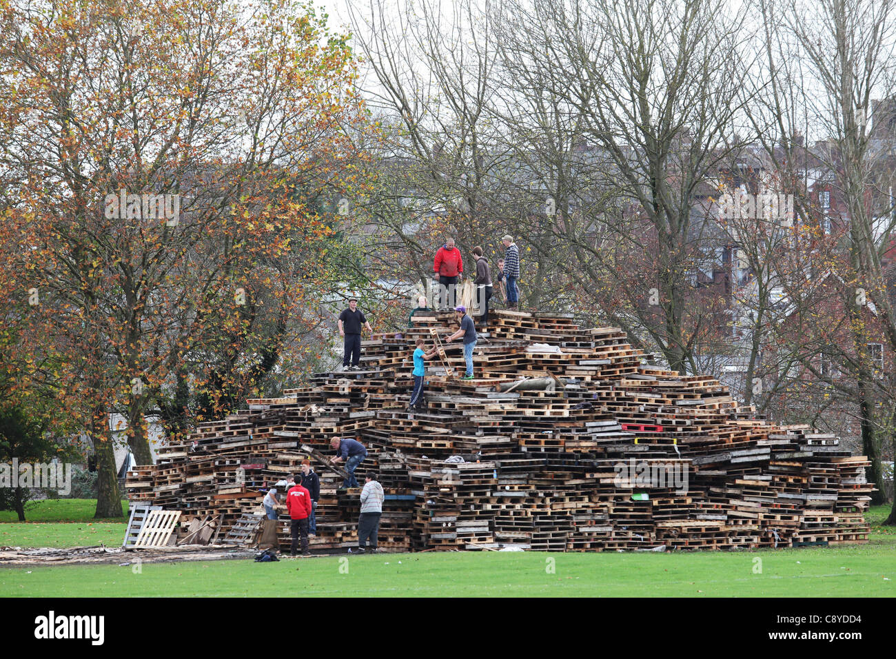 Members of Waterloo Bonfire Society build there massive bonfire ahead ...
