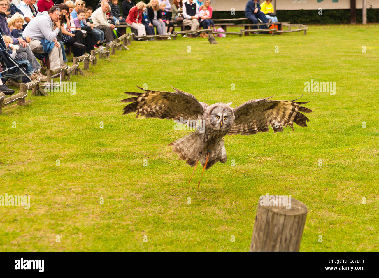 Stonham barns suffolk hi-res stock photography and images - Alamy
