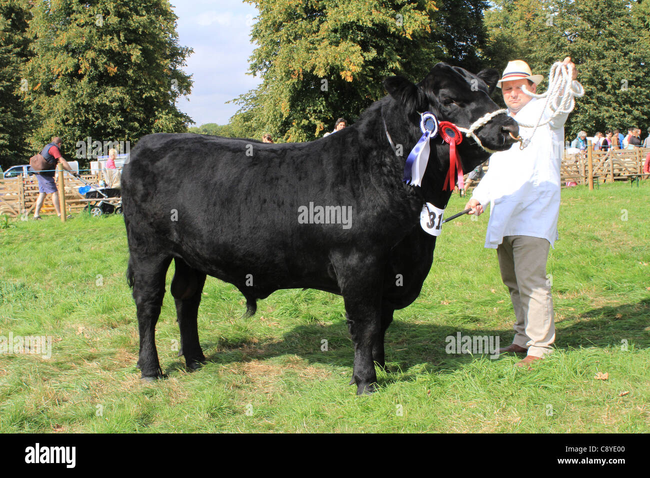 Alresford show hi-res stock photography and images - Alamy