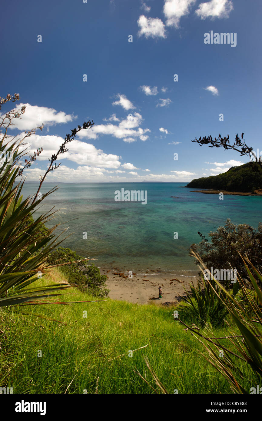 Goat Island, North Island, New Zealand Stock Photo - Alamy