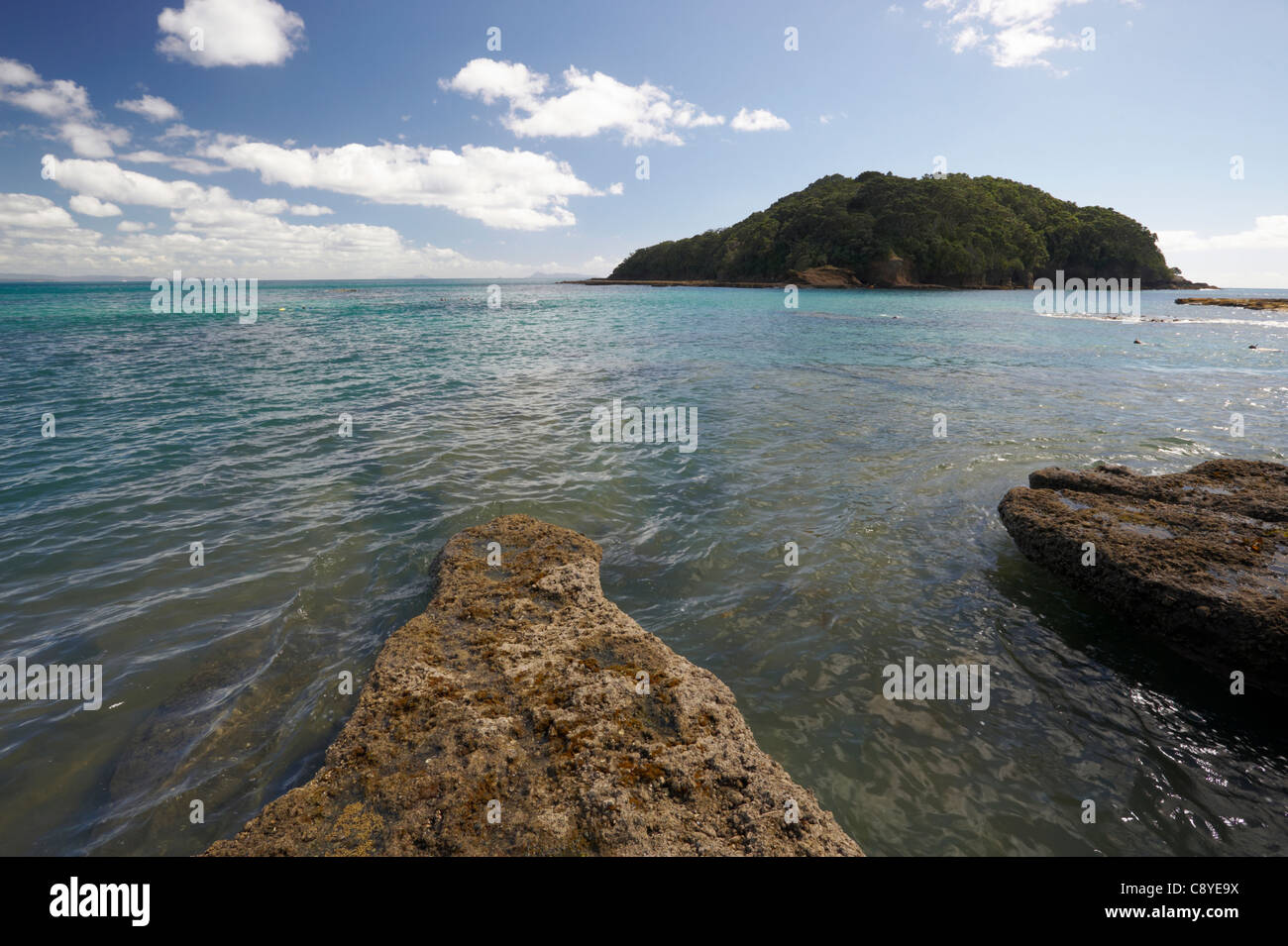 Goat island new zealand hi-res stock photography and images - Alamy
