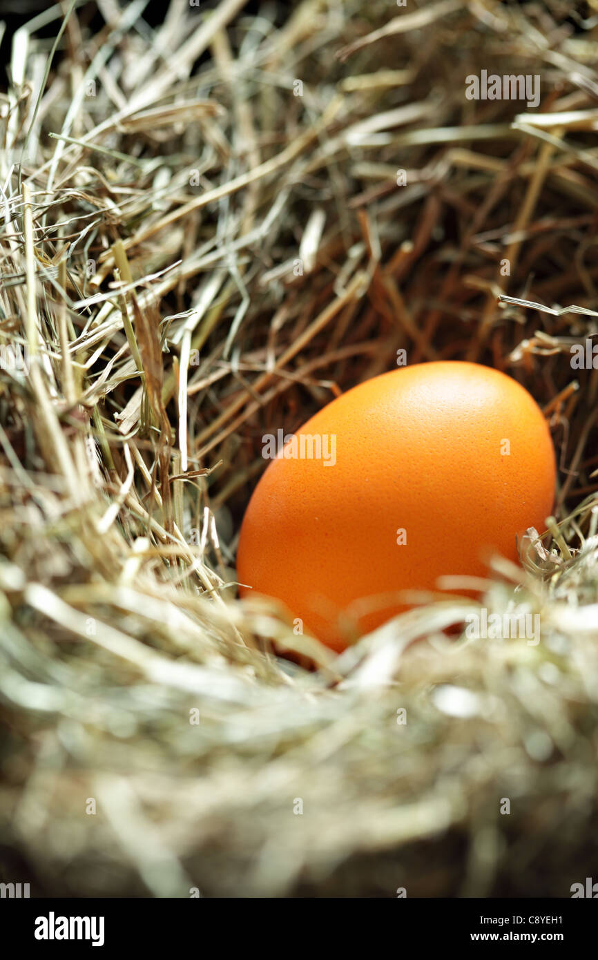 Nest with orange easter egg close up Stock Photo - Alamy