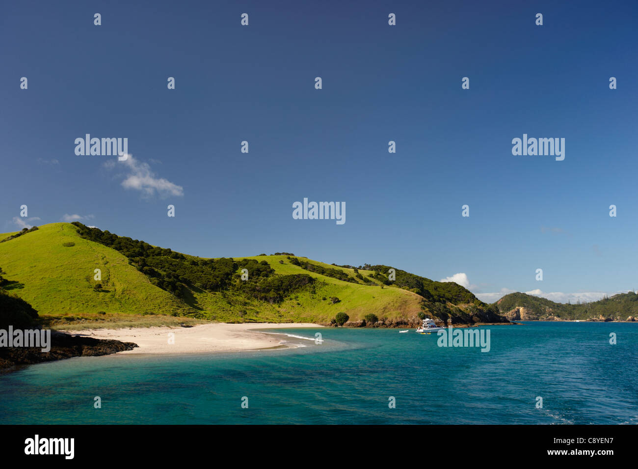 Secluded beach in new zealand hi-res stock photography and images - Alamy