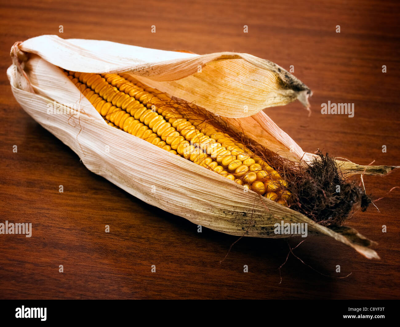 Ear horn hi-res stock photography and images - Alamy