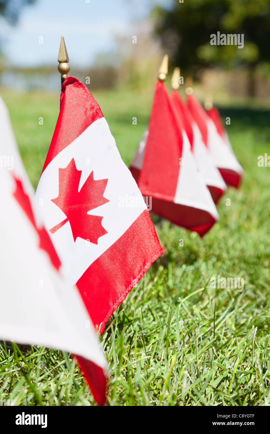 Flag canadian cemetery hi-res stock photography and images - Alamy