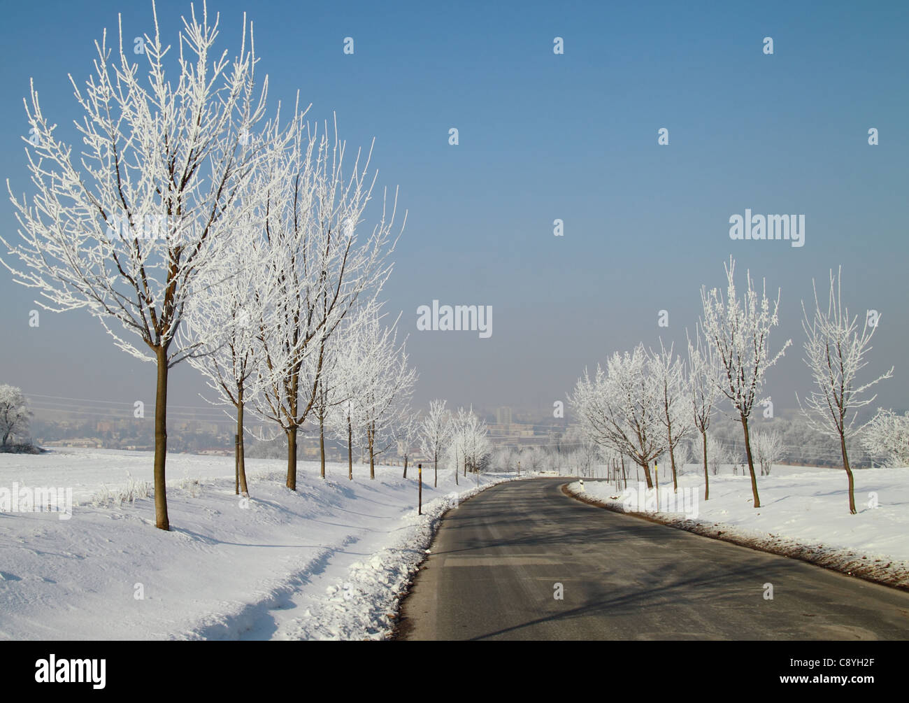 Winter way and frosty tree Stock Photo - Alamy