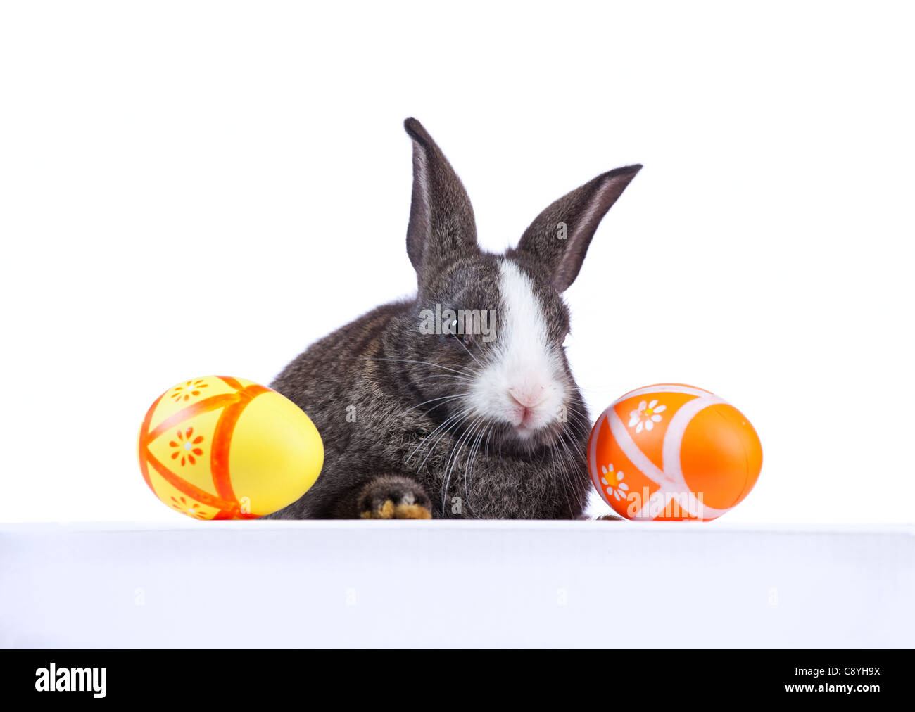 Cute easter rabbit peeking behind a banner (isolated on white Stock ...