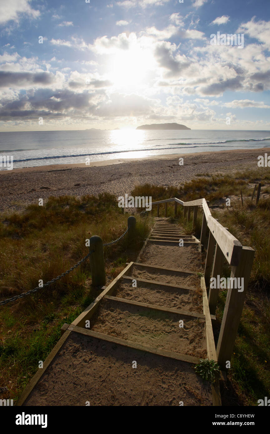Wooden steps leading to sandy beach hi-res stock photography and images ...