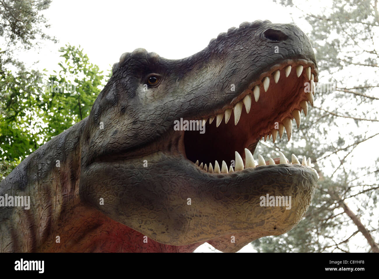 Tyrannosaurus Rex (tyrant lizard) in Leba Park (dinosaur theme park ...