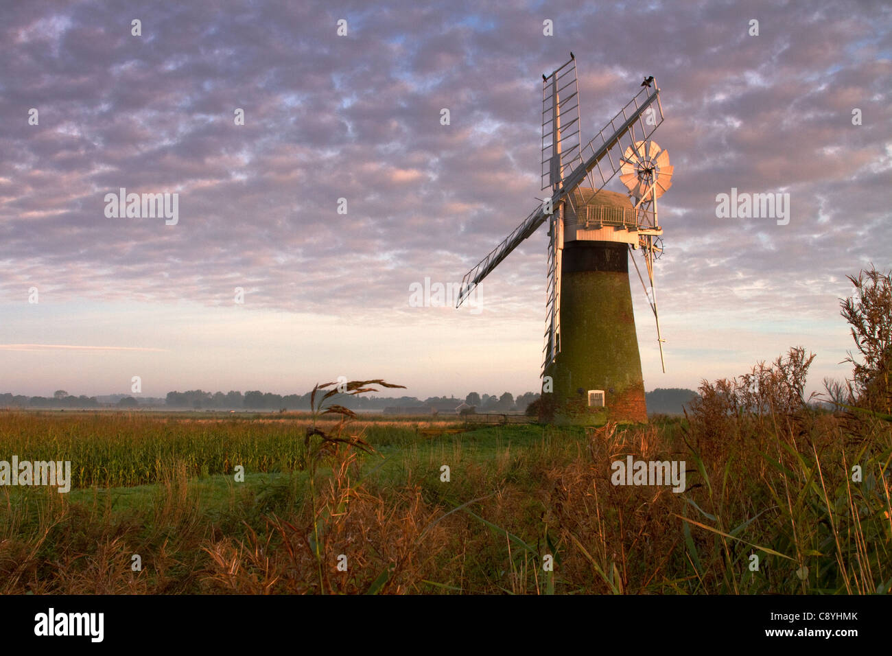 Windmill on the Norfolk Broads at sunrise Stock Photo - Alamy