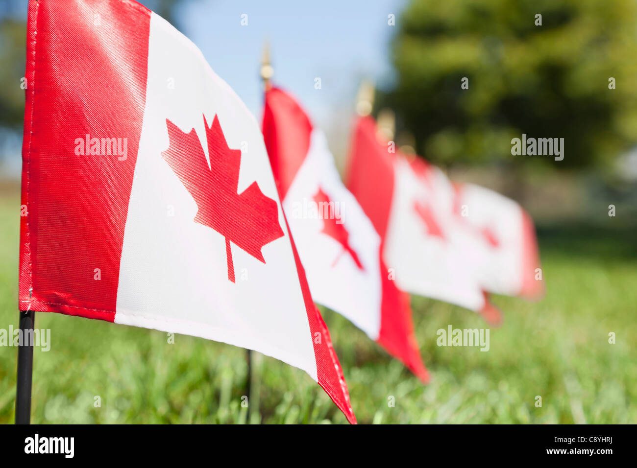 Flag canadian cemetery hi-res stock photography and images - Alamy
