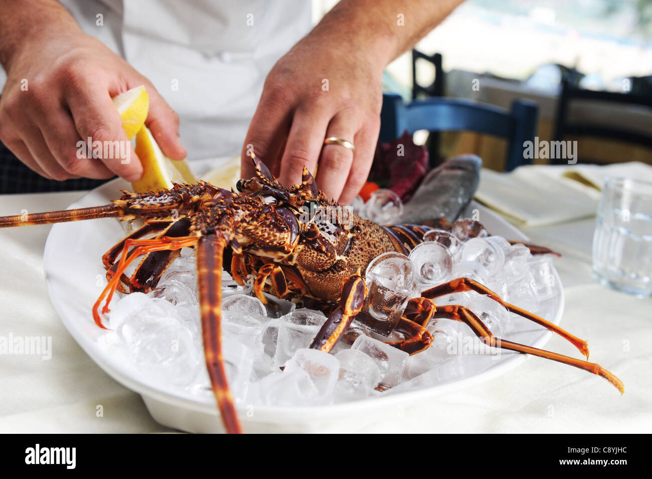 cooking a mediterranean crayfish on ice over a restaurant table Stock ...
