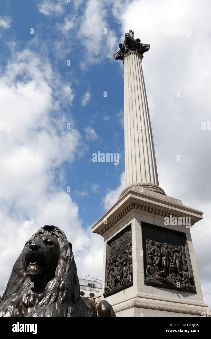 Lion statue and Nelson's Column at Trafalgar Square - London, England ...