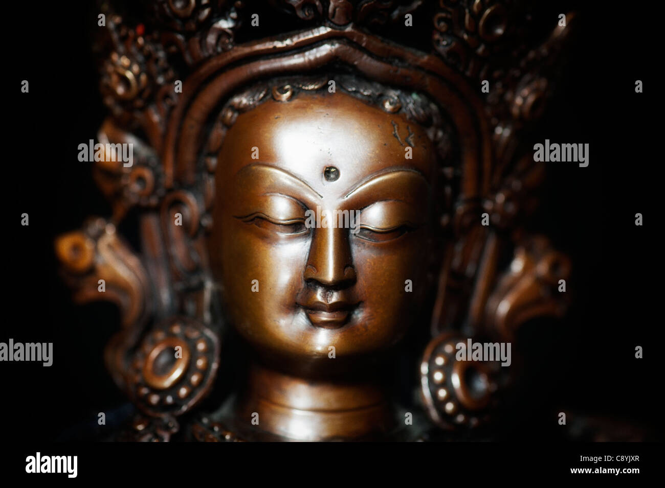 Tara Means's Instagram, Twitter & Facebook on IDCrawl