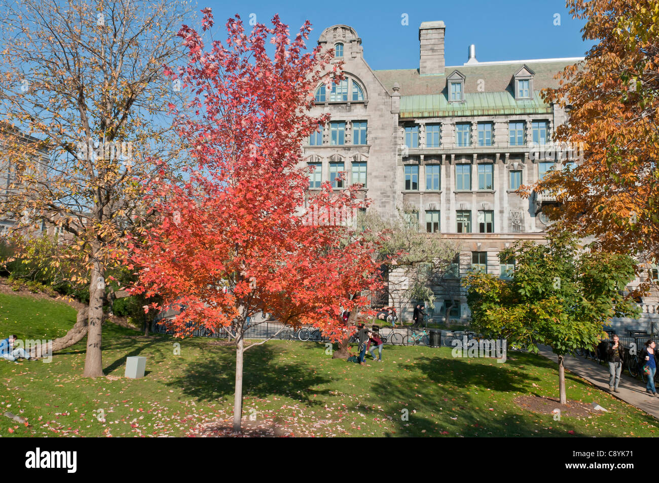 Canadian universities hi-res stock photography and images - Alamy
