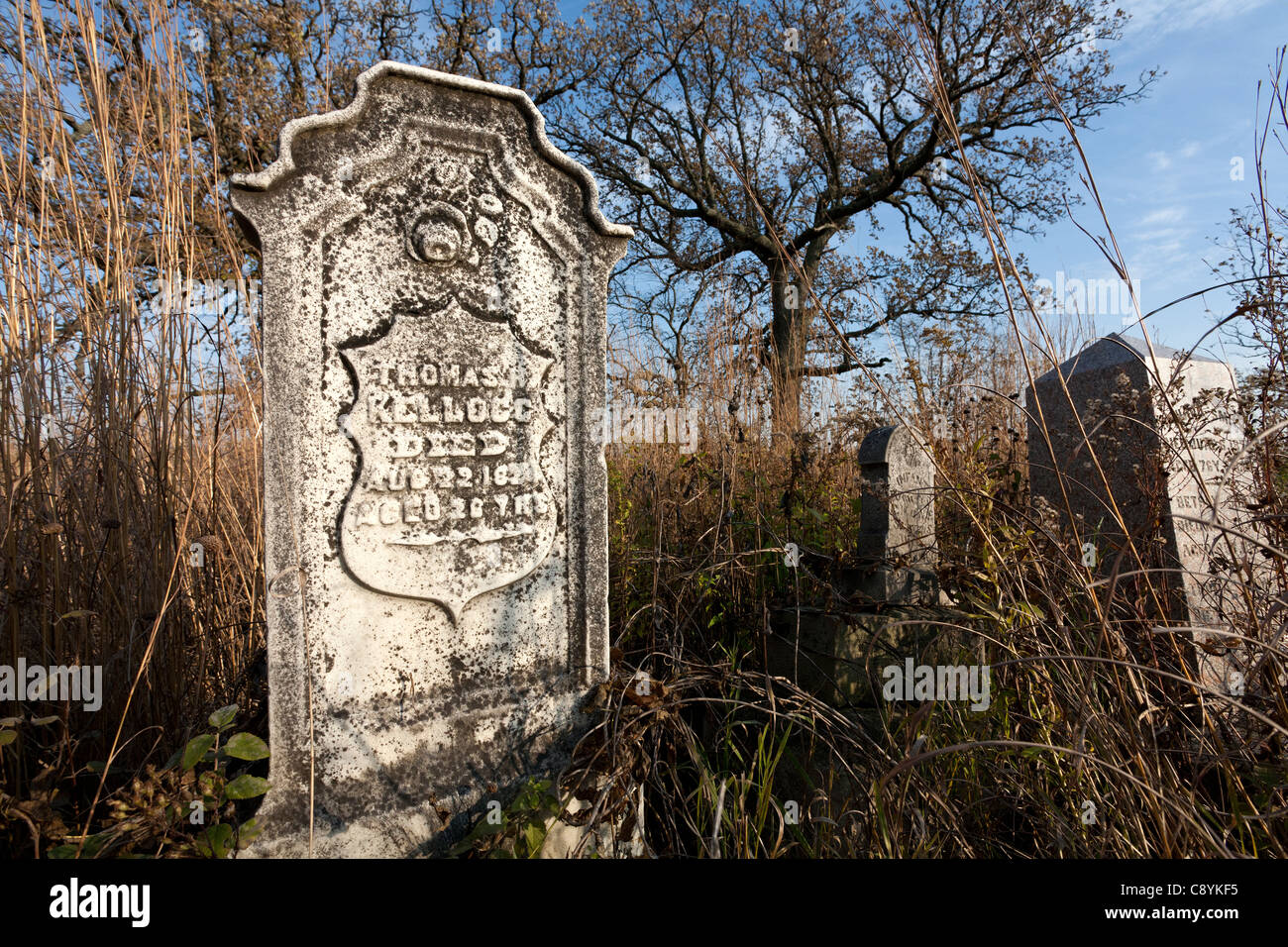 Abandoned gravestone in nature preserve Stock Photo - Alamy
