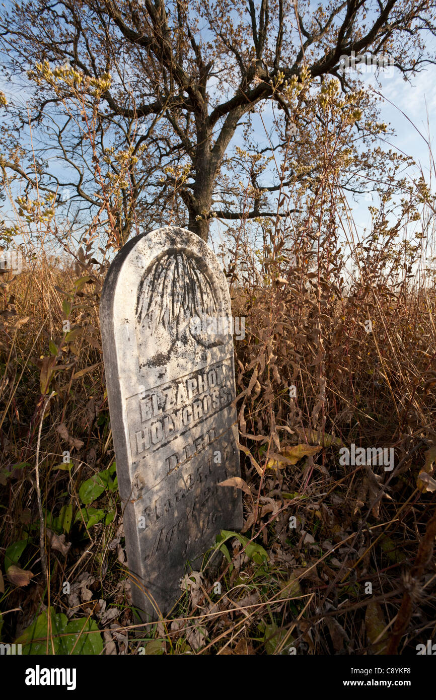 Abandoned gravestone in nature preserve Stock Photo - Alamy
