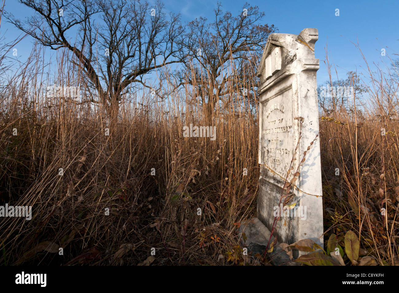 Abandoned gravestone in nature preserve Stock Photo - Alamy