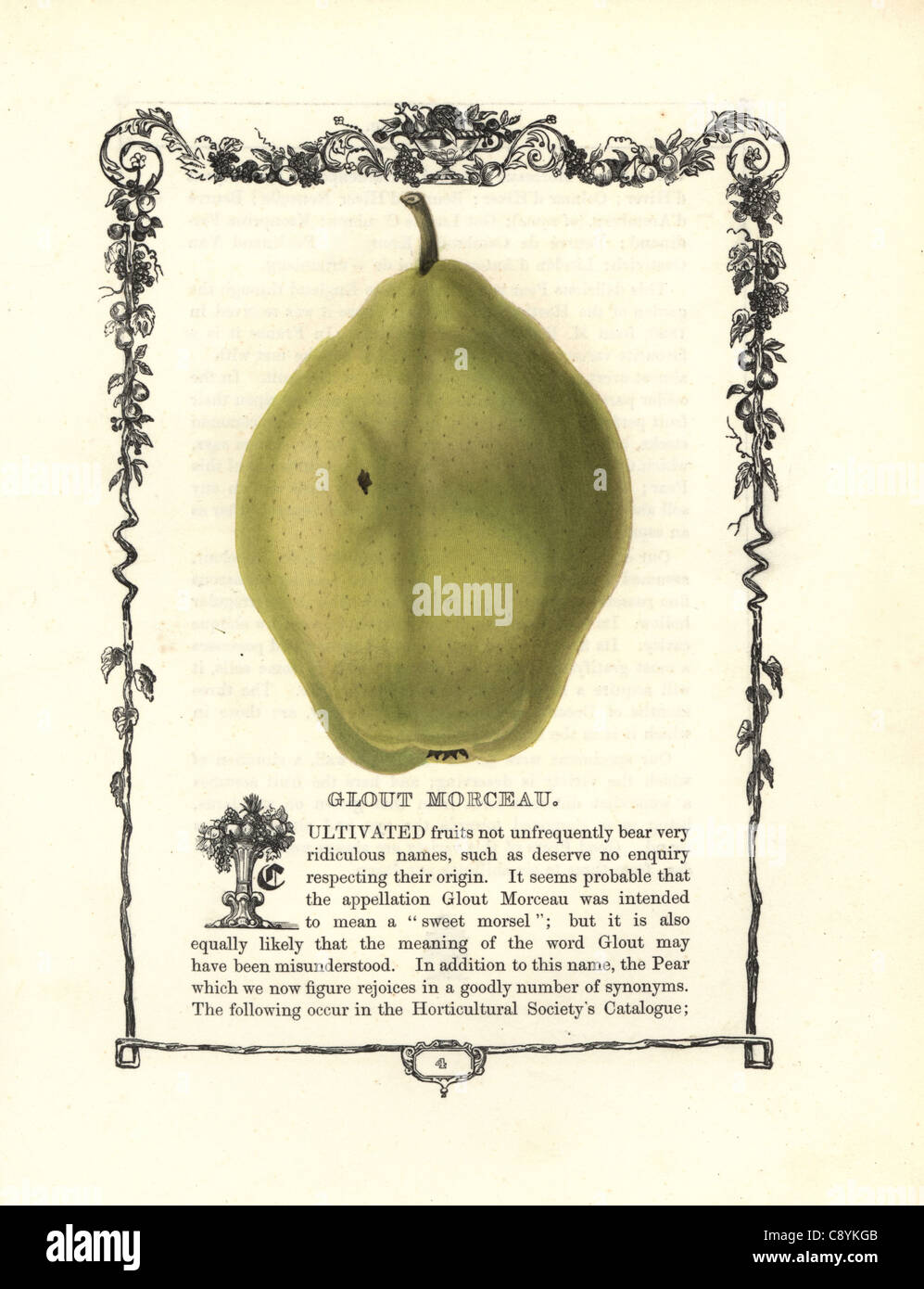 Glout hi-res stock photography and images - Alamy