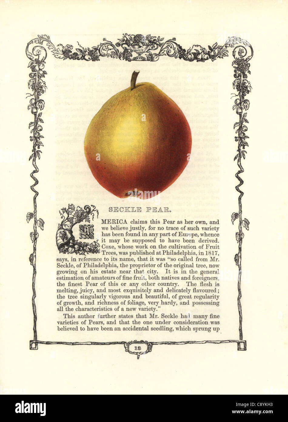 Glyphography hi-res stock photography and images - Alamy