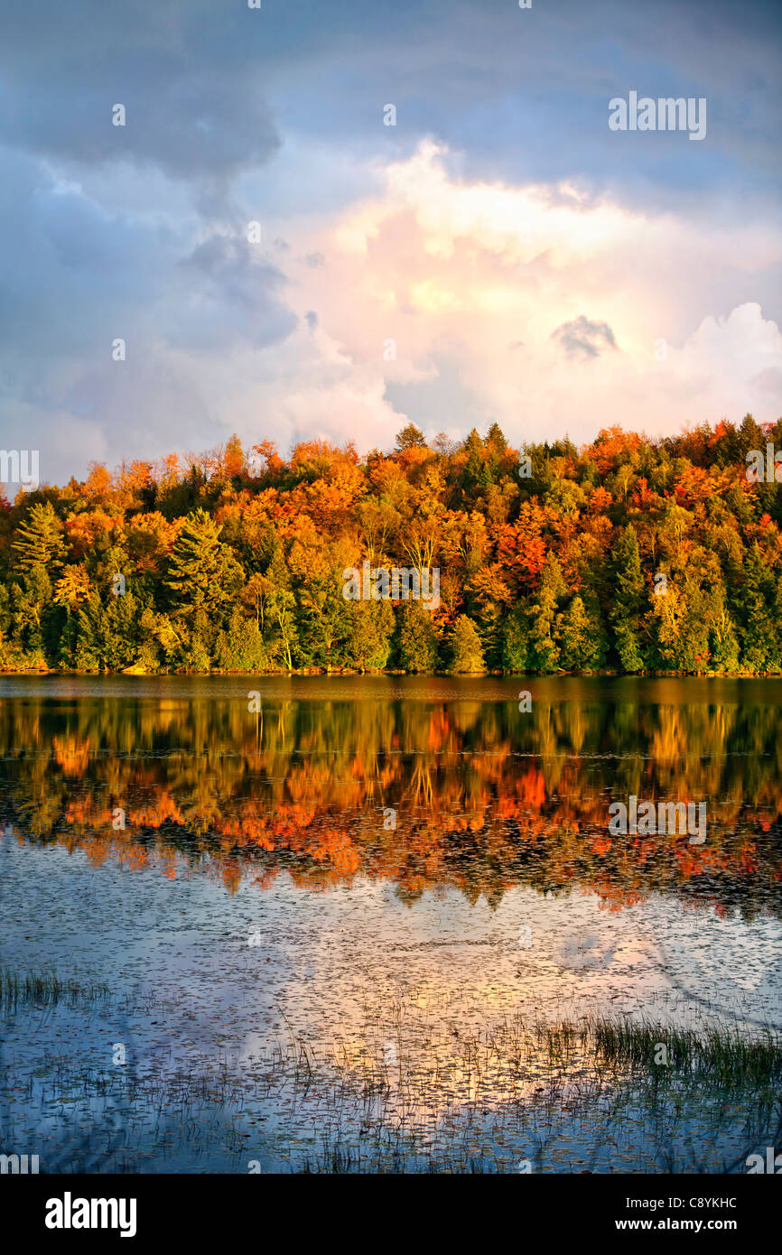 Forest of colorful autumn trees reflecting in lake with dramatic sky ...