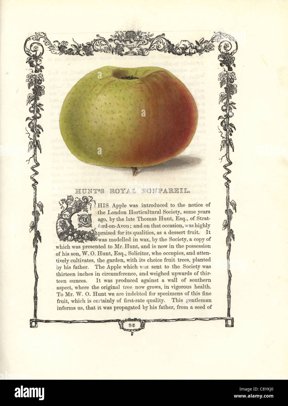 Glyphography hi-res stock photography and images - Alamy