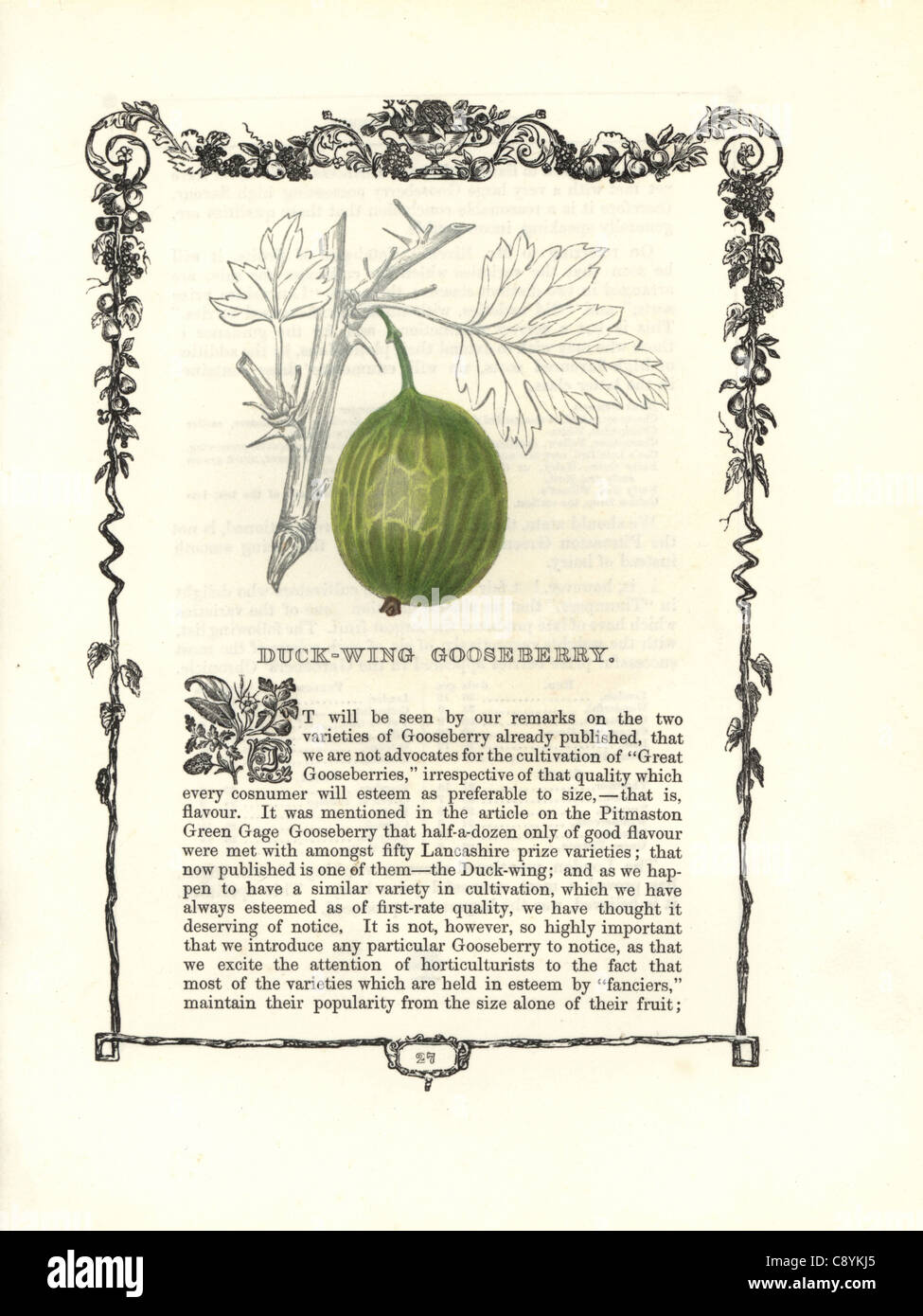 Glyphography hi-res stock photography and images - Alamy